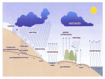 Watercyclus – MARJOLIJN VAN DEN ASSEM