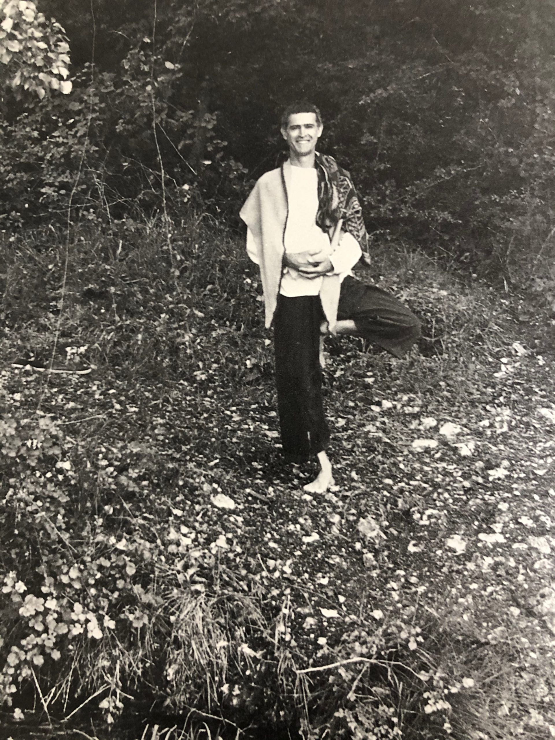 Martial Raysse (2) – MARJOLIJN VAN DEN ASSEM